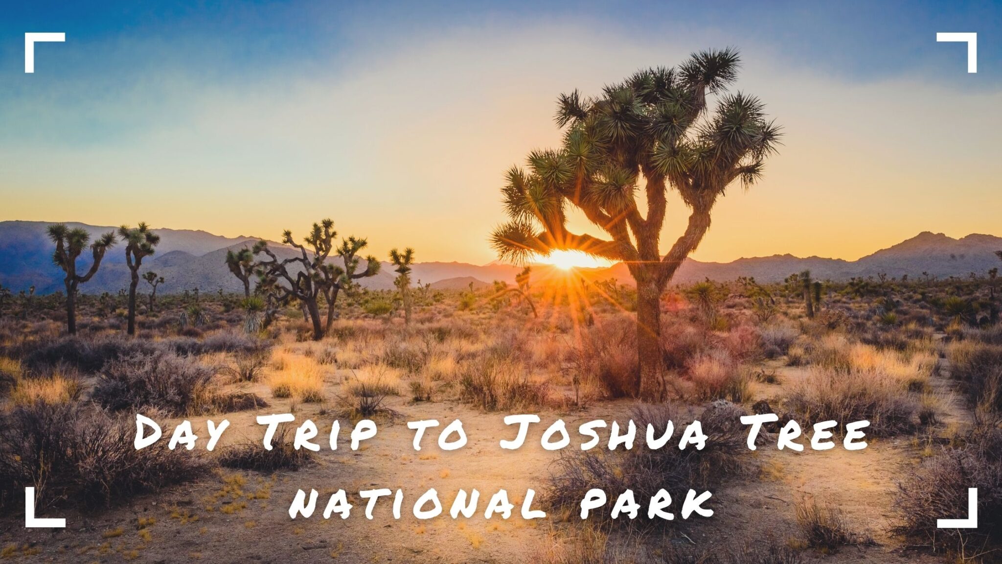 How To Plan A Day Trip To Joshua Tree; 7 Beautiful Sights - Maps Over ...
